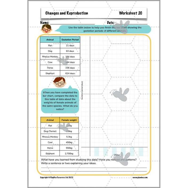 Human Life Cycle KS2 lessons | Year 5 Science by PlanBee