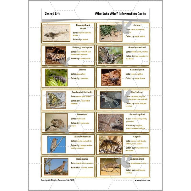 Desert Habitat KS2 Science Lessons by PlanBee