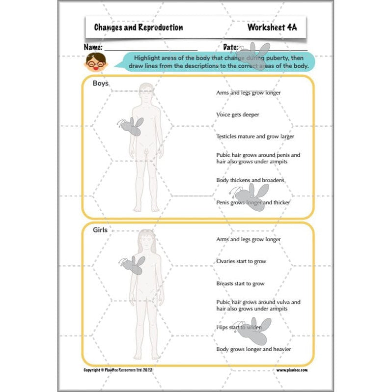 Human Life Cycle KS2 lessons | Year 5 Science by PlanBee
