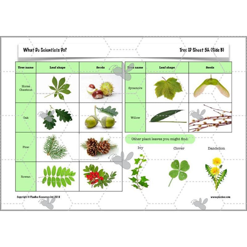 Scientific Enquiry KS2 Lessons - What Do Scientists Do? — PlanBee