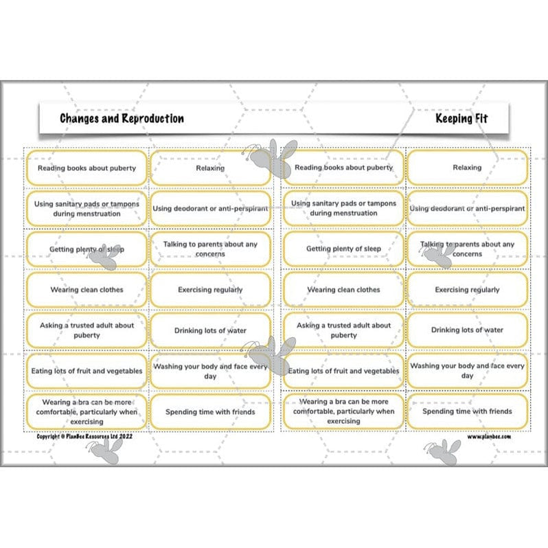 Human Life Cycle KS2 lessons | Year 5 Science by PlanBee