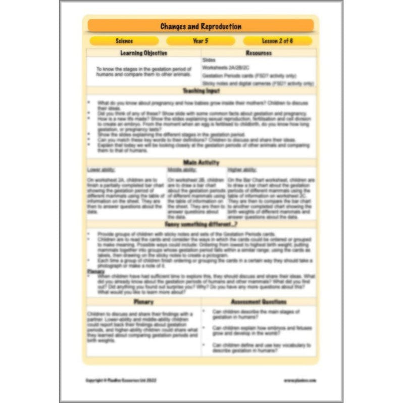 Human Life Cycle KS2 lessons | Year 5 Science by PlanBee