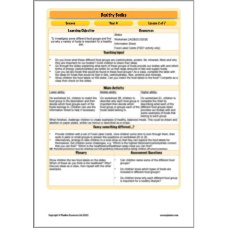 Healthy Bodies Year 6 Animals including Humans by PlanBee