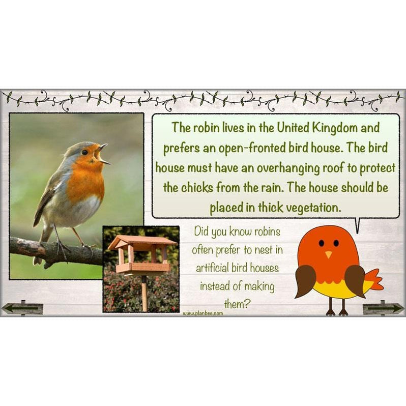 Bird House Builders - DT Primary Resources for KS2 Year 6 | PlanBee