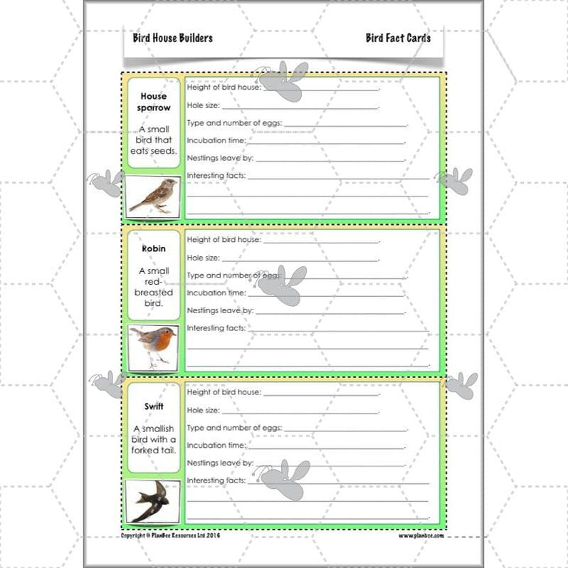 Bird House Builders - DT Primary Resources for KS2 Year 6 | PlanBee