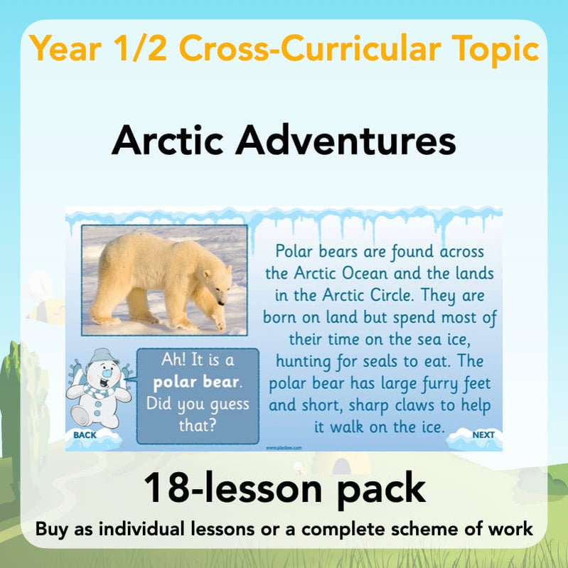 Year 2 Science curriculum lessons and worksheets by PlanBee