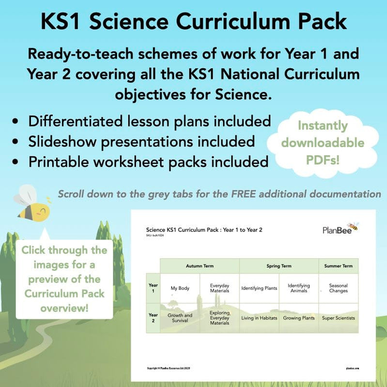 Year 2 Science curriculum lessons and worksheets by PlanBee