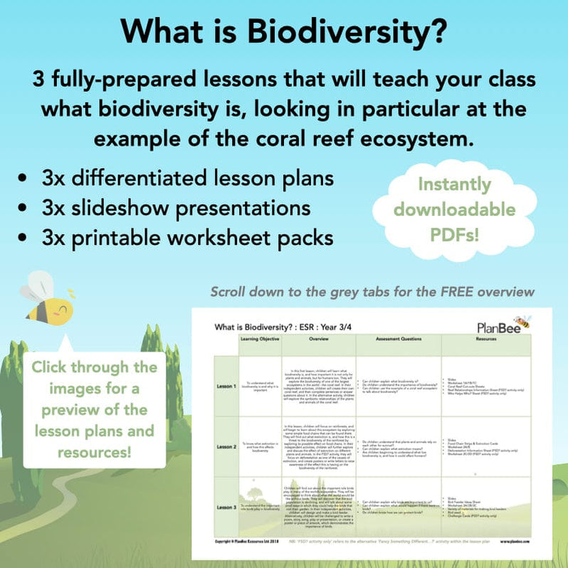 Biodiversity KS2 ESR Lesson What is Biodiversity? by PlanBee