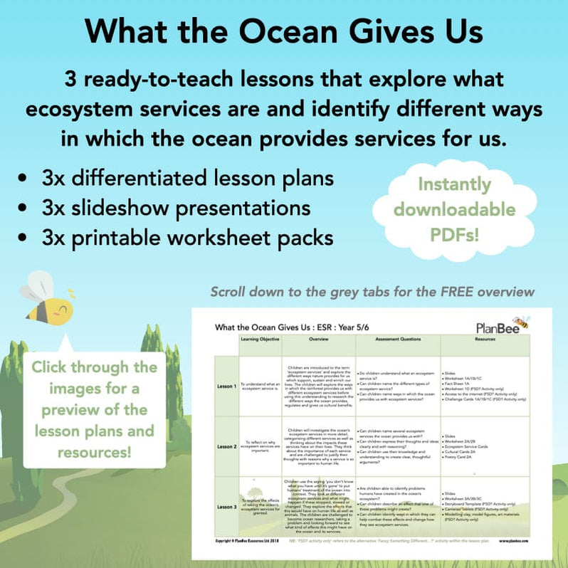 Ocean Ecosystems KS2 ESR Lessons by PlanBee