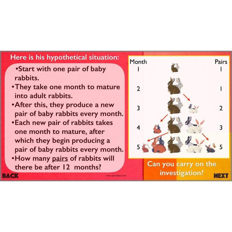 The Fibonacci Sequence: KS2 Maths lesson planning — PlanBee