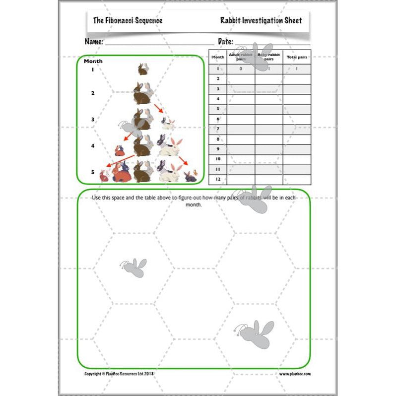 The Fibonacci Sequence: KS2 Maths lesson planning — PlanBee