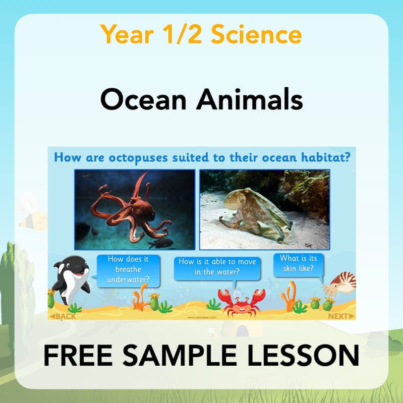 KS1 Science Resources & Lesson Packs — PlanBee