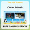 FREE Under the Sea KS1 Ocean Animals lesson pack | PlanBee