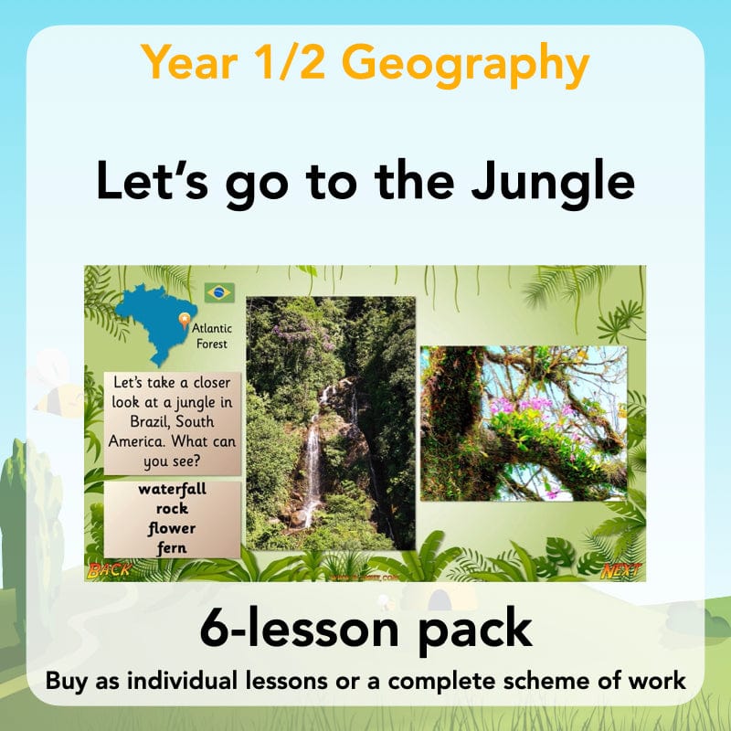 Tropical Jungle Activities for KS1 Geography by PlanBee
