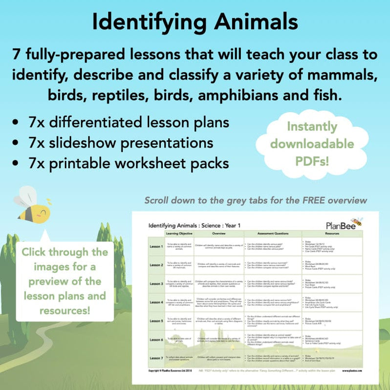 Animals Year 1 | Science Lessons KS1 by PlanBee