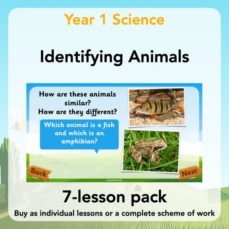 Primary Science Teaching Resources & Lessons Plans — PlanBee