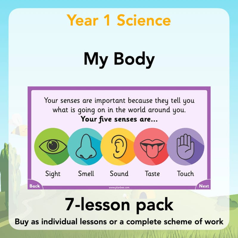 Year 1 Lesson Plans by PlanBee Teaching Resources