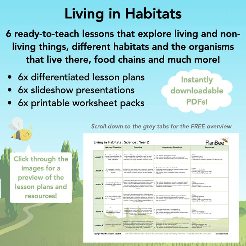 Living Things and Their Habitats Year 2 Resources — PlanBee