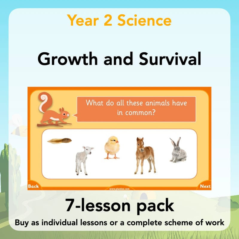Year 2 Science Materials & Lessons | Y2 Science Worksheets — PlanBee