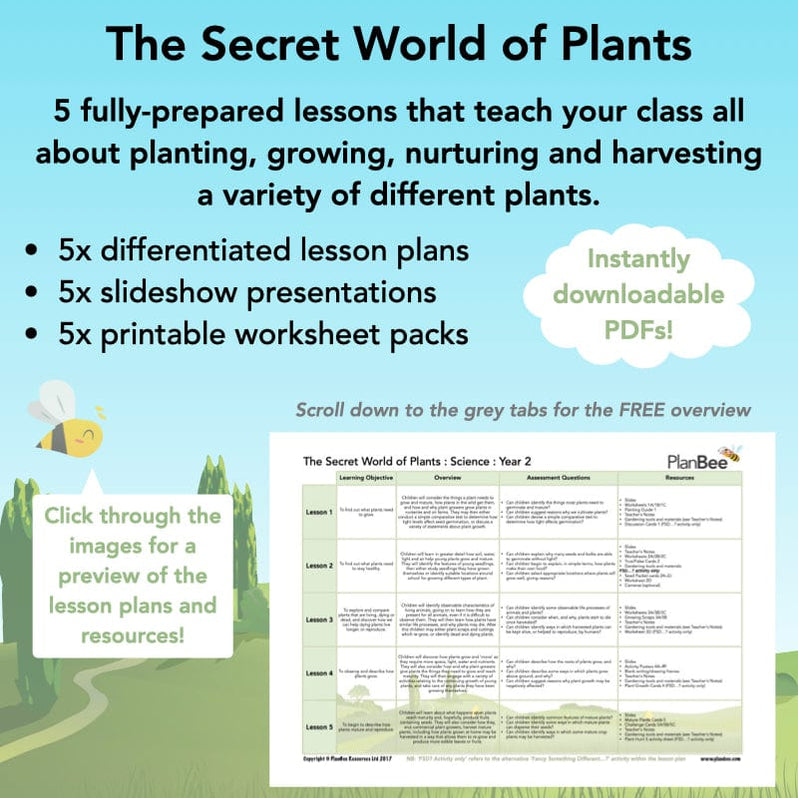 Secret World of Plants - KS1 Science Scheme of Work: Year 2 — PlanBee