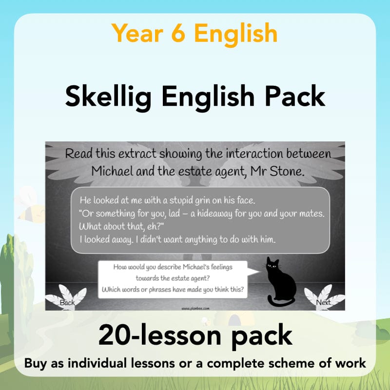Skellig Year 6 English Planning Resource by PlanBee
