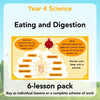 Digestive System Year 4 Animals including Humans | PlanBee