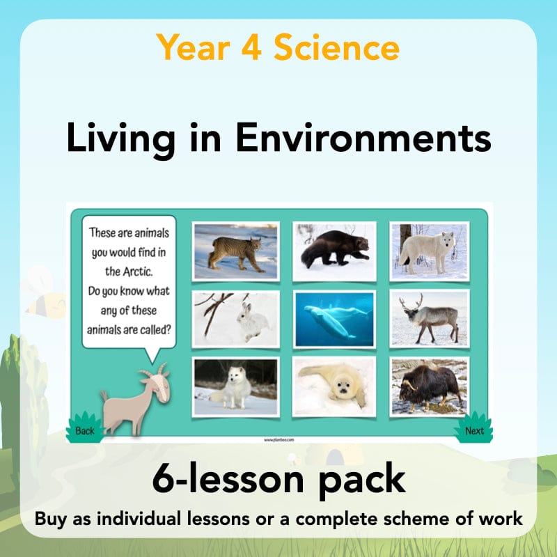 Living Things and their Habitats Year 4 Science Lessons — PlanBee