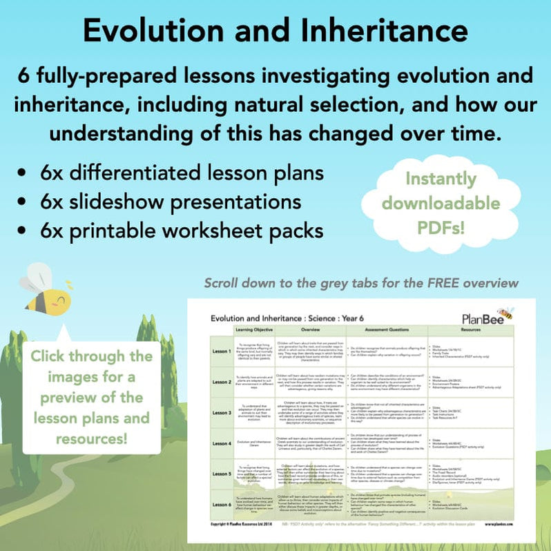 Year 6 Evolution and Inheritance KS2 | Science from PlanBee