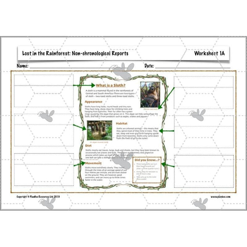 Lost in the Rainforest: Non chronological Reports Year 3 — PlanBee