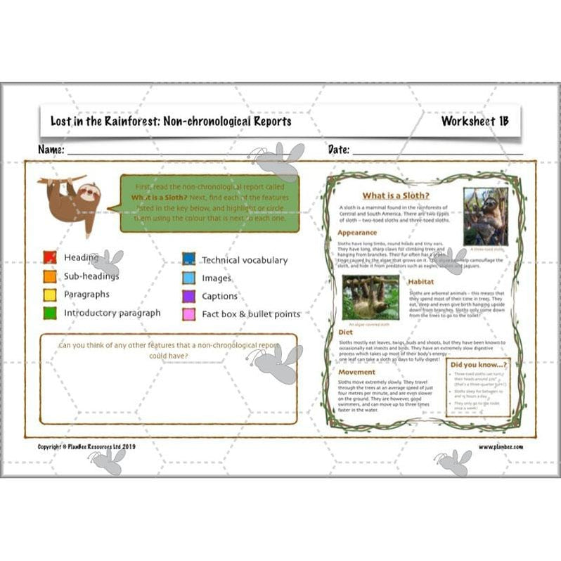 Lost in the Rainforest: Non chronological Reports Year 3 — PlanBee