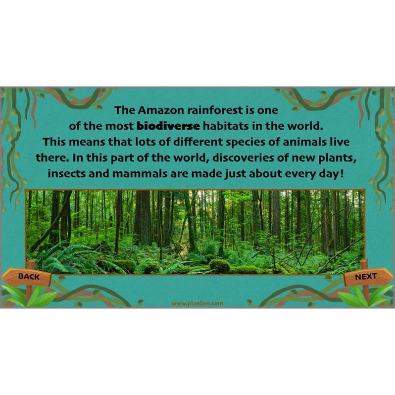 Lost in the Rainforest: Non chronological Reports Year 3 — PlanBee
