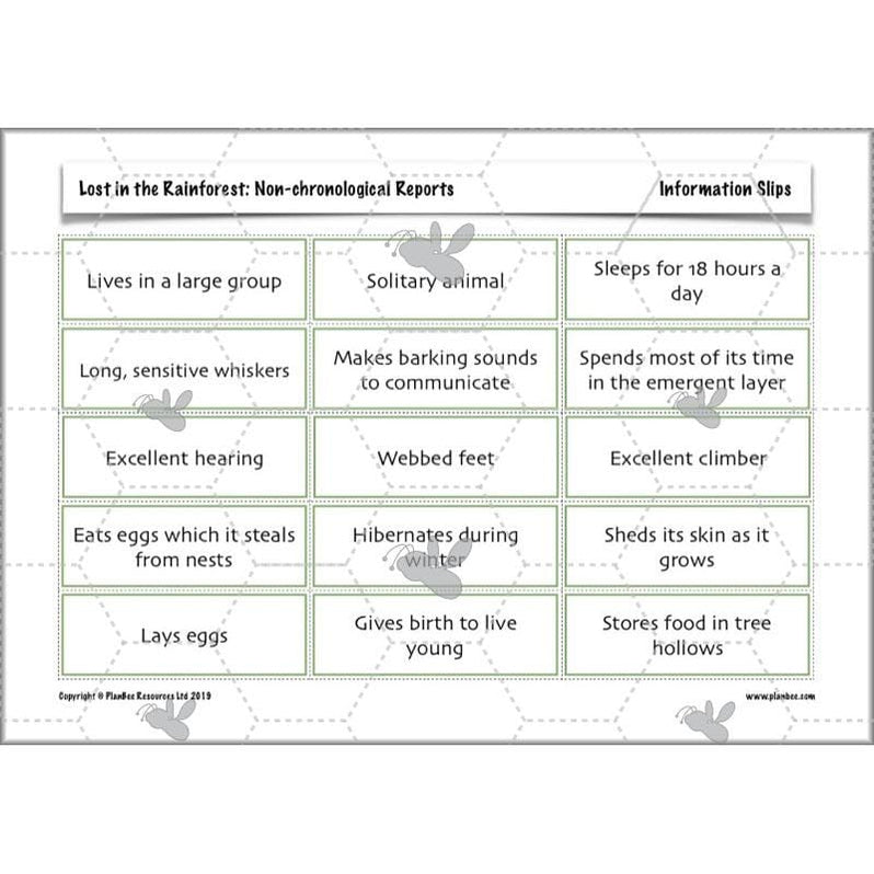 Lost in the Rainforest: Non chronological Reports Year 3 — PlanBee