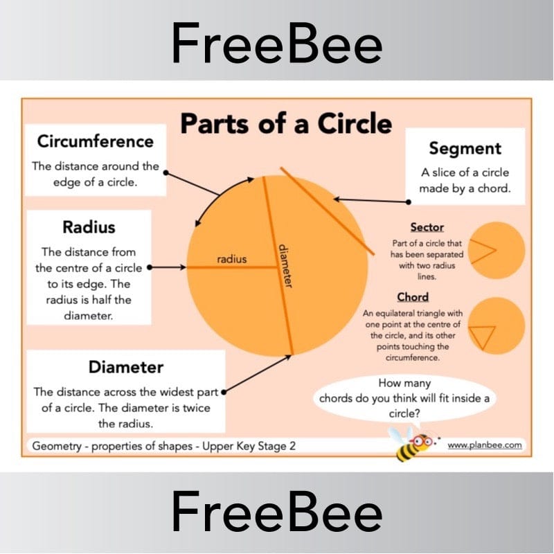 Parts of a Circle Poster KS2 | Free Resource by PlanBee