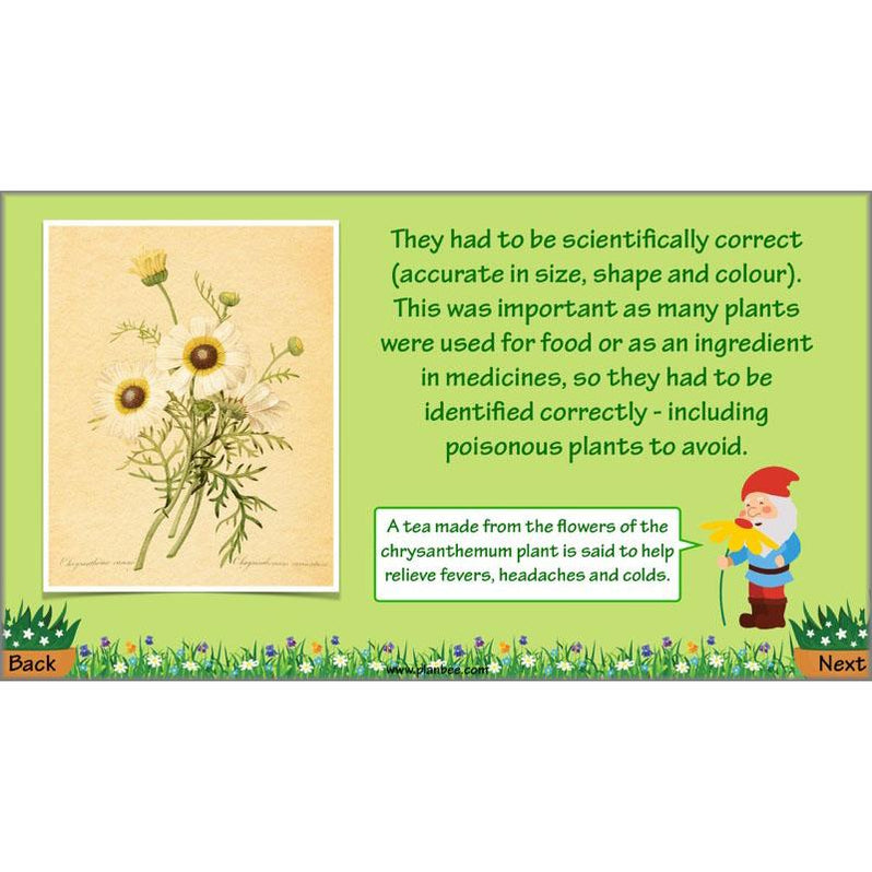 Plant Art Lessons Year 3 & Year 4 PlanBee Art scheme of work