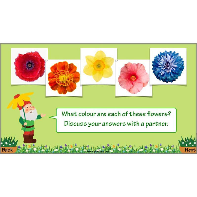 Plant Art Lessons Year 3 & Year 4 PlanBee Art scheme of work