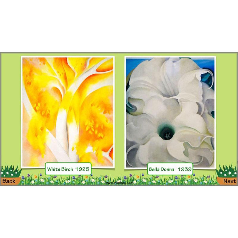 Plant Art Lessons Year 3 & Year 4 PlanBee Art scheme of work