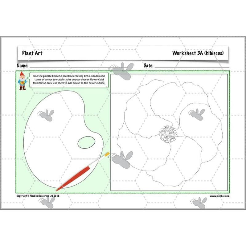 Plant Art Lessons Year 3 & Year 4 PlanBee Art scheme of work