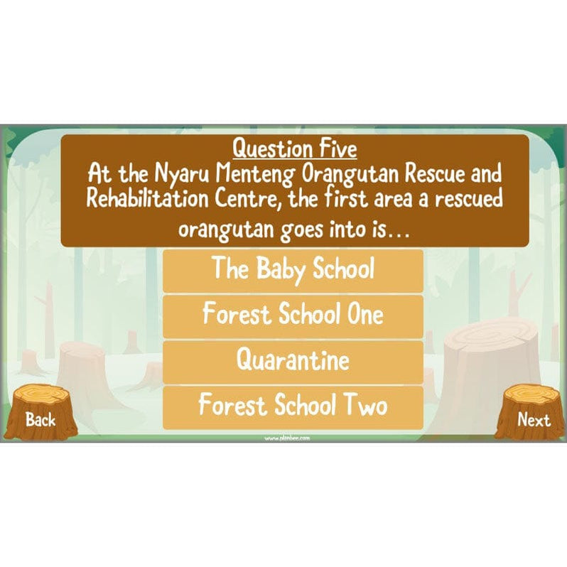 Save the Orangutan KS2 Geography Planning Pack by PlanBee