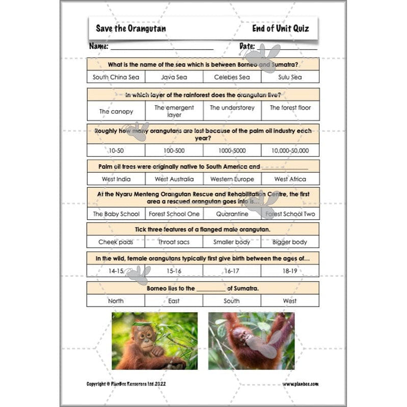 Save the Orangutan KS2 Geography Planning Pack by PlanBee