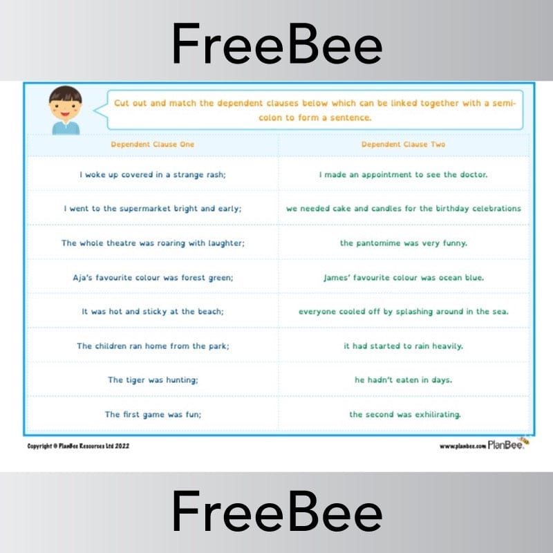 Semicolon Sentence Examples Using Semicolons