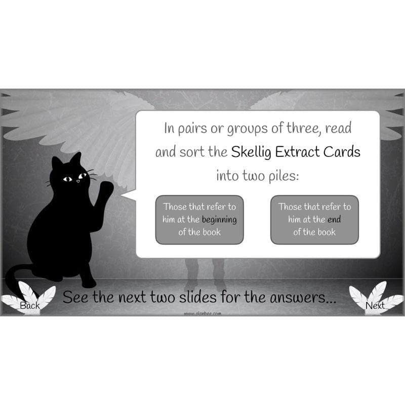 Skellig Year 6 English Planning Resource by PlanBee