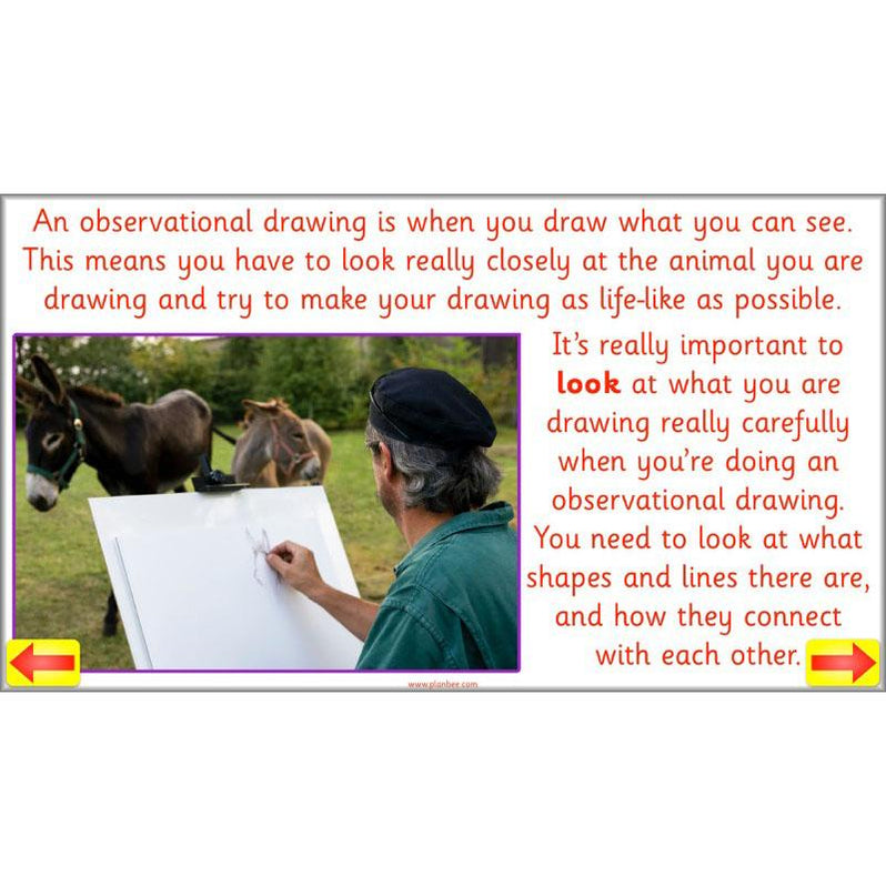 Animal Art lessons and planning for KS1 created by PlanBee
