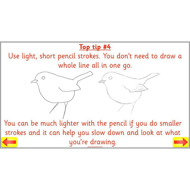 Animal Art lessons and planning for KS1 created by PlanBee