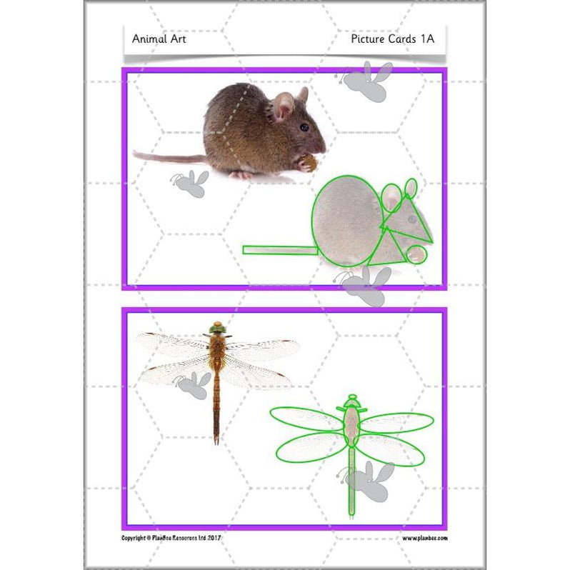 Animal Art lessons and planning for KS1 created by PlanBee