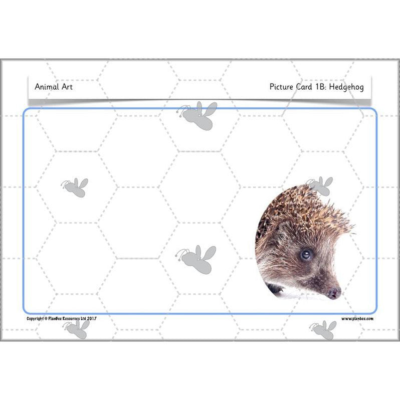 Animal Art lessons and planning for KS1 created by PlanBee