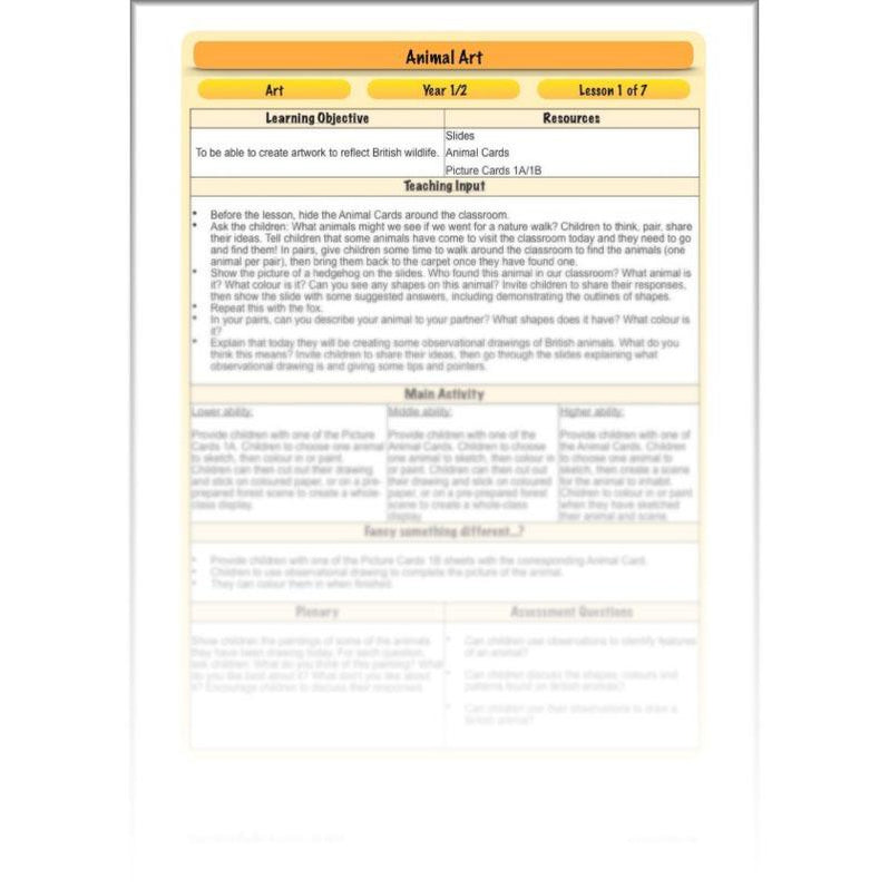 Animal Art lessons and planning for KS1 created by PlanBee