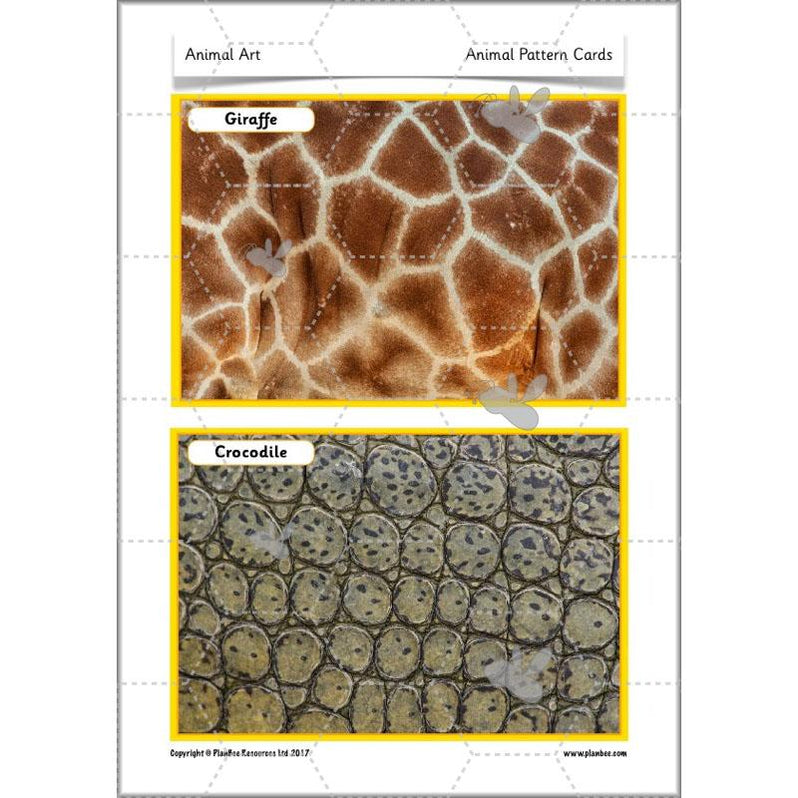 Animal Art lessons and planning for KS1 created by PlanBee