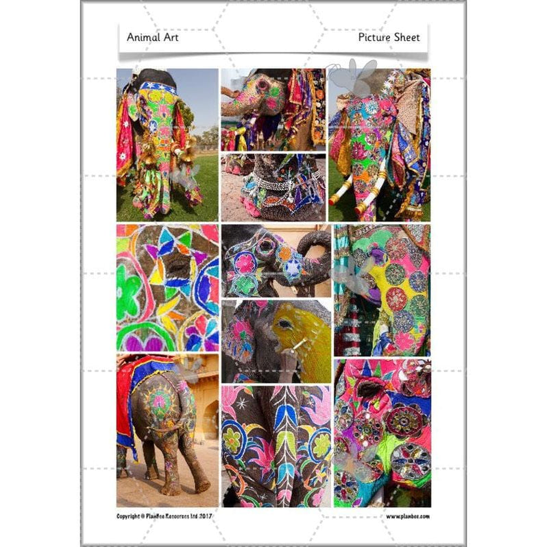 Animal Art lessons and planning for KS1 created by PlanBee