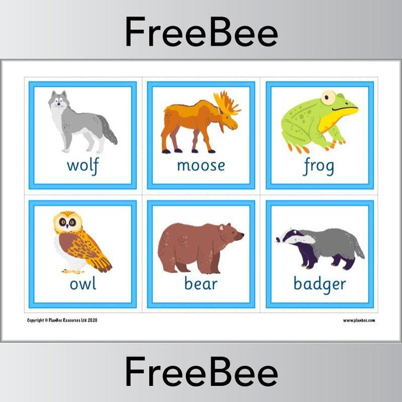 Animal Flashcards | Free Teaching Resources | PlanBee