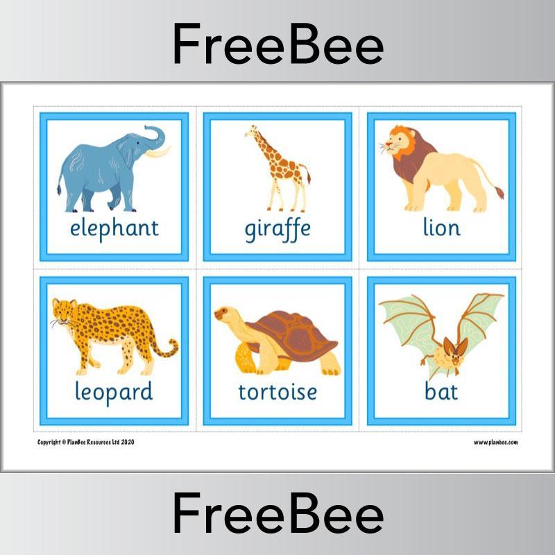 Animal Flashcards | Free Teaching Resources | PlanBee